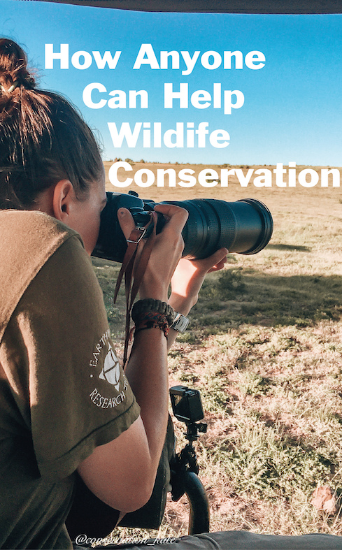 How You Can Help Wildlife Conservation by Kate Sheridan Summary and Key ...