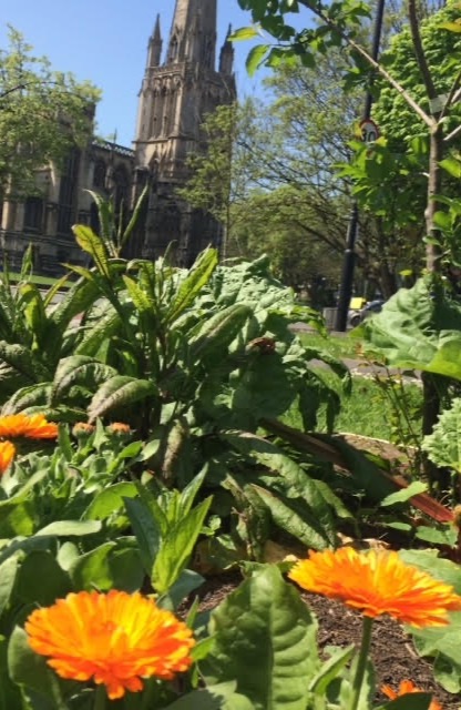 Beautiful and Productive: Community Planting in Cities by Sara Venn ...